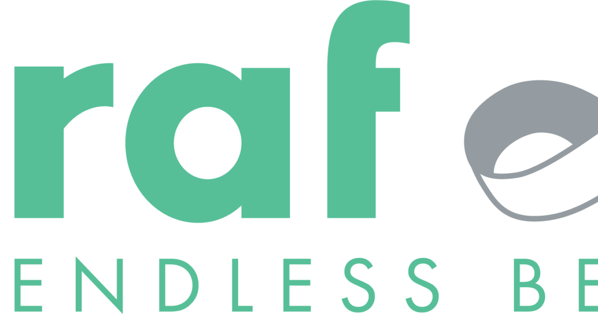 Dipl. Ing Werner Graf AG | Neues Logo - futuristisch und…